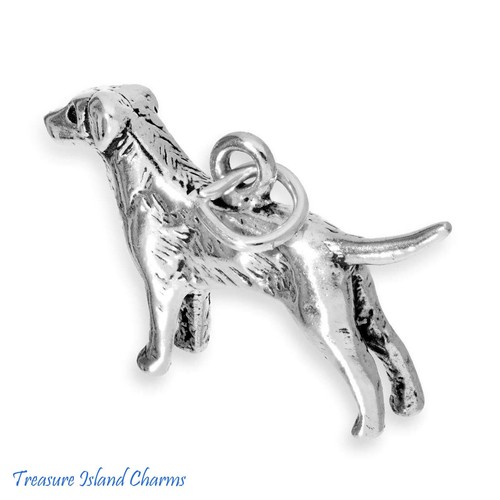 Labrador Retriever Lab Dog Breed 3D 925 Solid Sterling Silver Charm ...