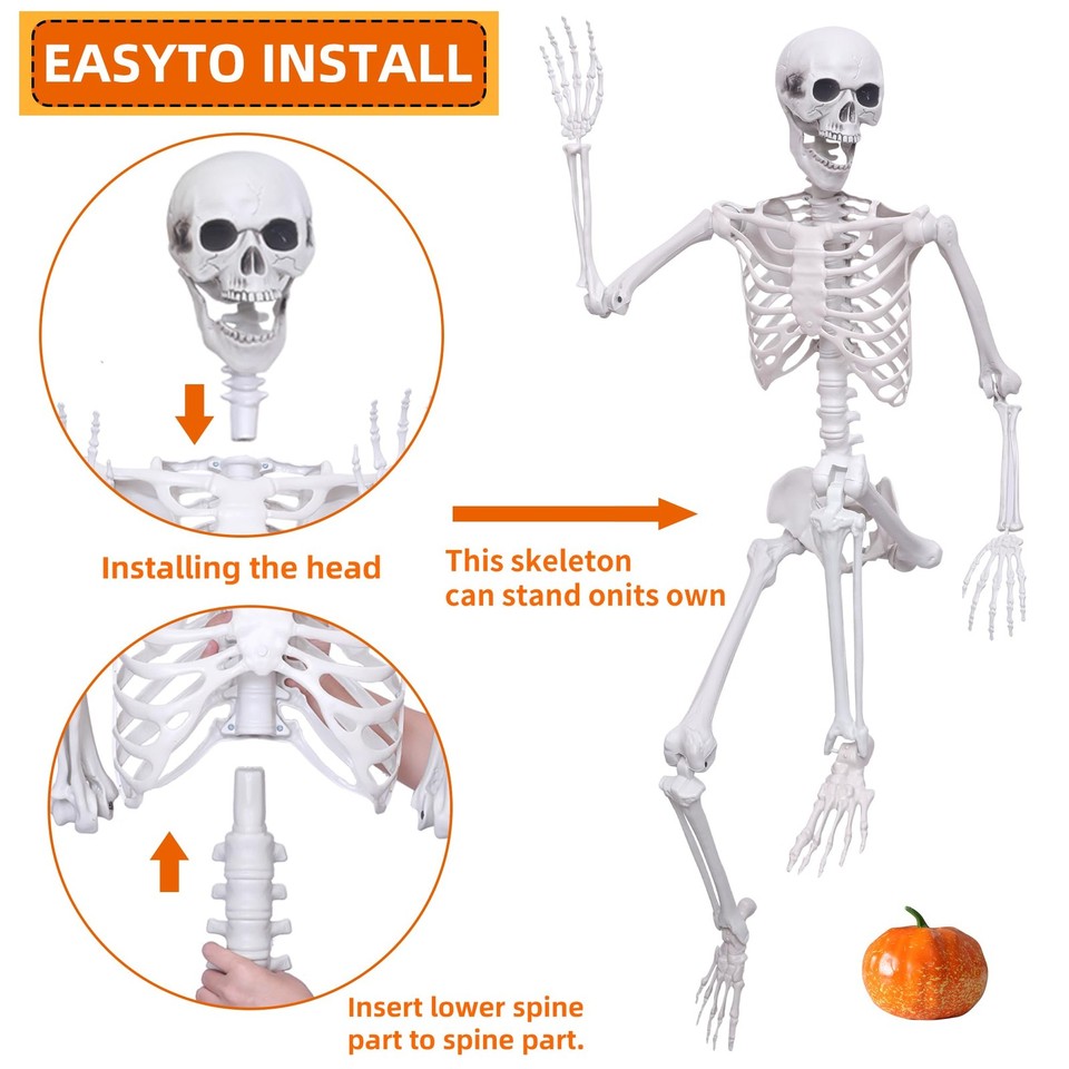 Halloween Skeleton Decor,5.4ft Posable Skeleton Full Body Human ...