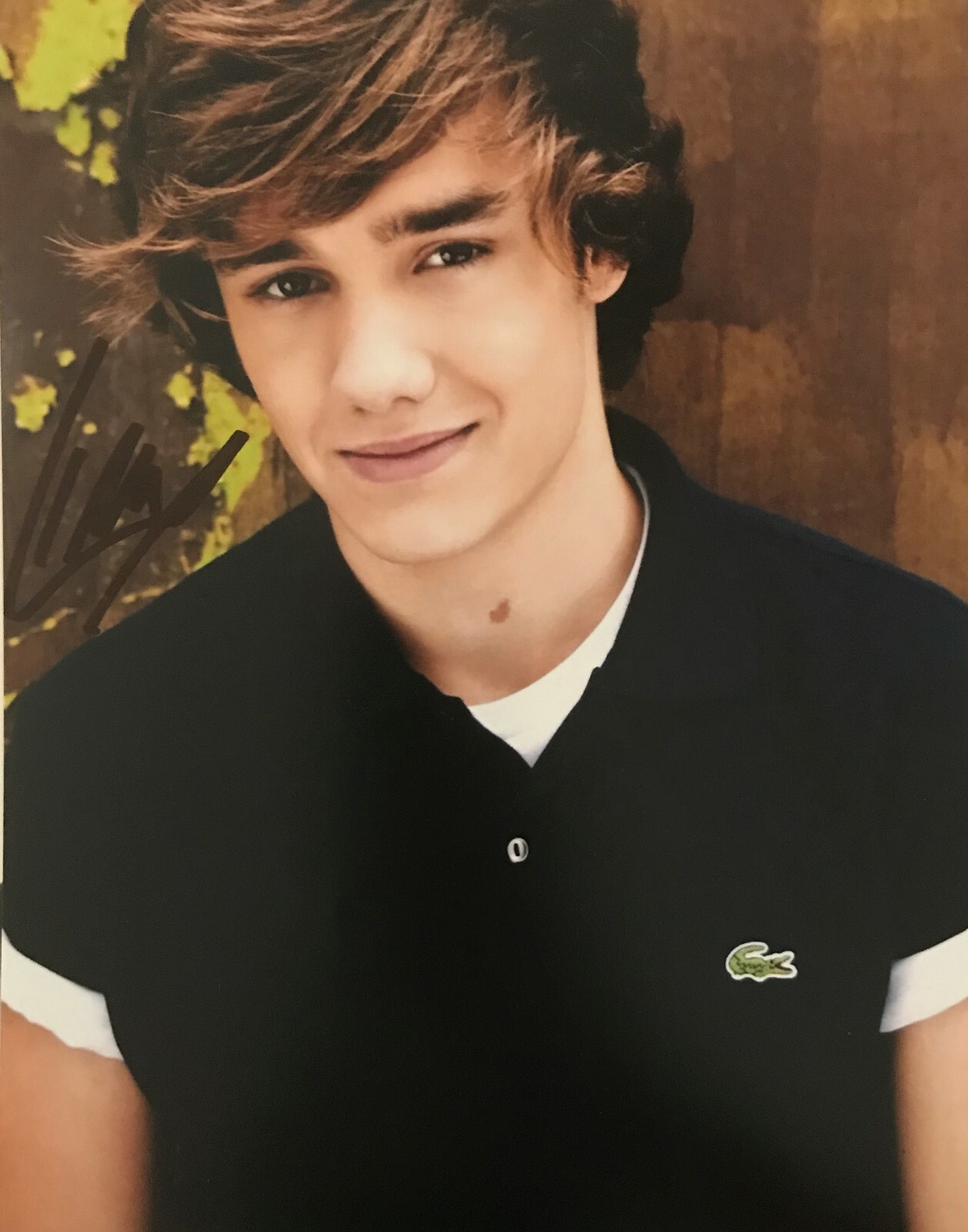 Liam Payne One Direction 1D Up All Night Signed 8x10 Autographed Photo ...