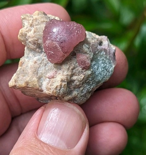 Tourmaline Crystals "Rubellite", botryoidal formation(!), Momeik ...