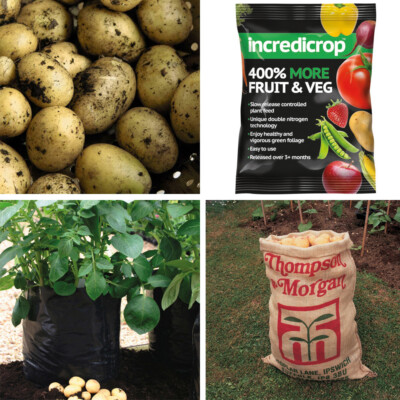 Complete Patio Potato Growing Kit Fertiliser Growing Bag Potato Maris ...