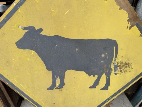 Rare VINTAGE LARGE CATTLE STEER BULL CROSSING HIGHWAY STREET SIGN 41 ...