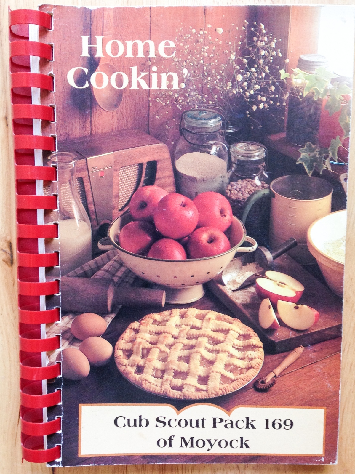 1995 CUB SCOUT PACK 169 COOKBOOK, MOYOCK, NC | eBay