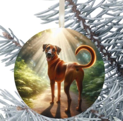 Rhodesian Ridgeback Dog Hanging Bauble Gift Decoration Birthday ...
