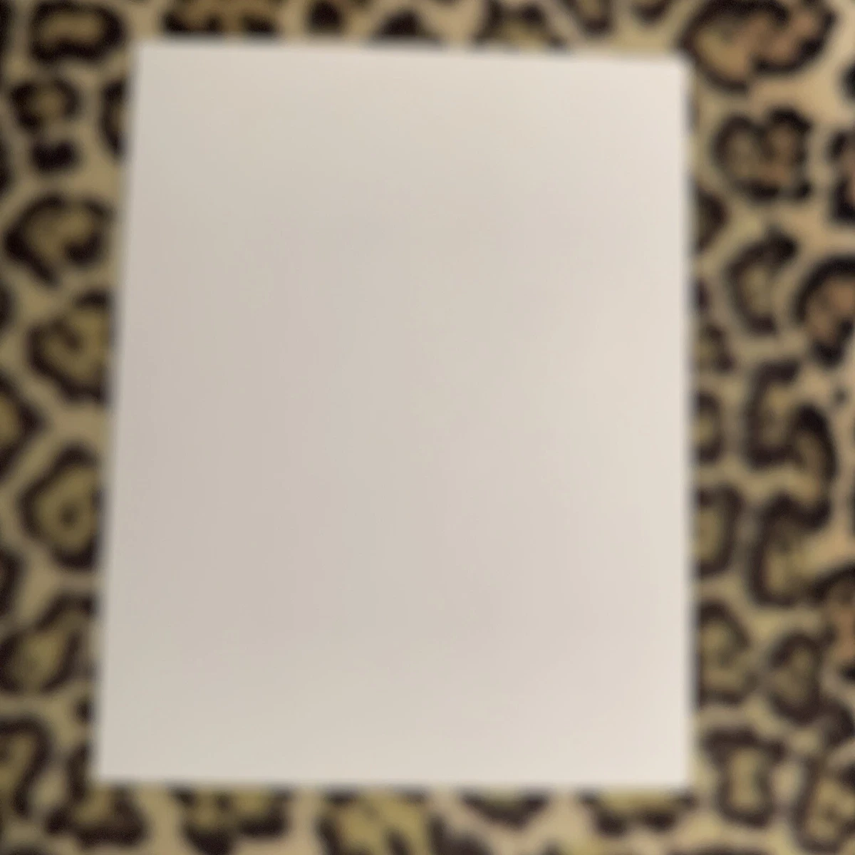 Edith Massey Thrift Store