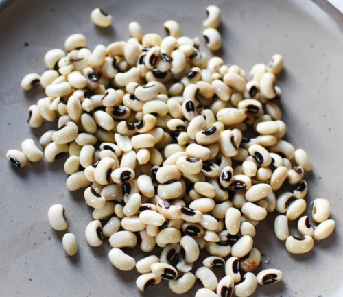 Black Eyed Pea / Cowpea seeds (40) / ORGANIC / HEAT TOLERANT / FLORIDA ...