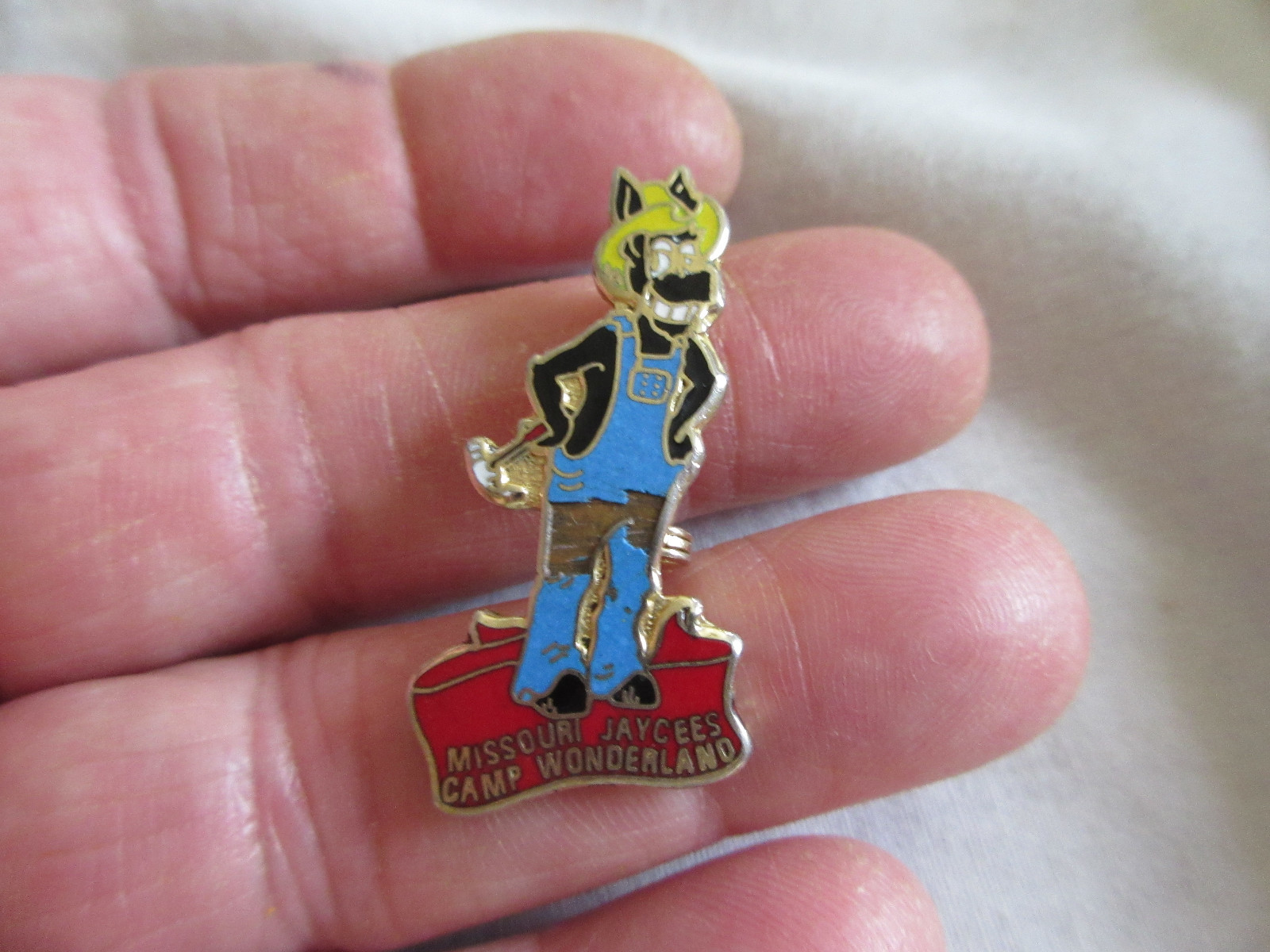 Vintage Dressed Donkey, Camp Wonderland, Missouri, pinback, pin, lapel ...