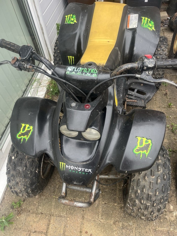 Quadzilla Ram 100cc | eBay UK