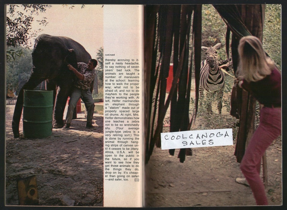 1968 TV ARTICLE/DAKTARI TONI & RALPH HELFER/Ivan Tors/Africa/Zebra ...
