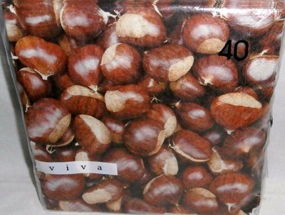 Fall Luncheon Napkins 40 Ct 3-Ply CHESTNUTS 13" X 13" | eBay