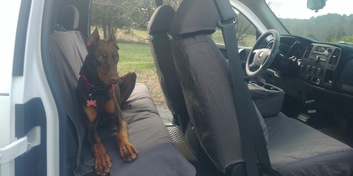 WeatherTech DE2020CH Seats - Seat Cover for sale online | eBay