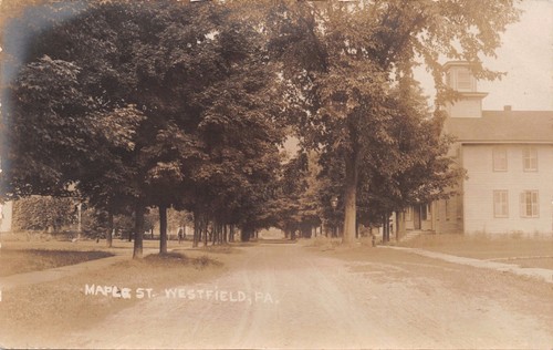 WESTFIELD PENNSYLVANIA TREE LINED MAPLE STREET~REAL PHOTO POSTCARD ...