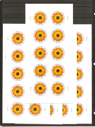 USPS Global International Mail Forever Postage Stamps (5 Sheets = 50 ...