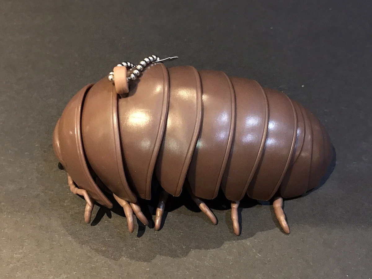 Giant Pill Bug