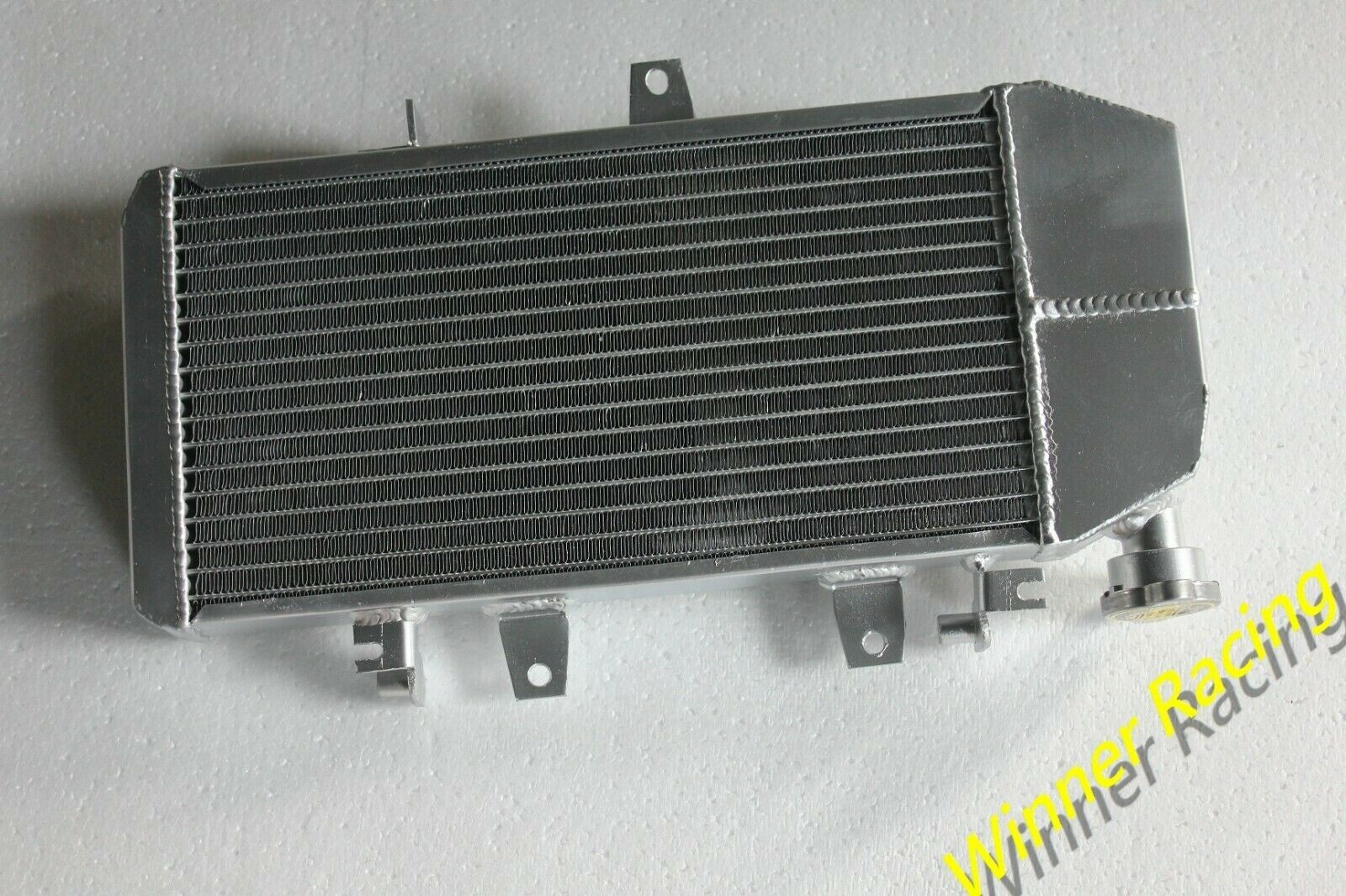 Radiator For BMW F650GS F700GS F800R/S/ST Without Built-in Thermostat ...