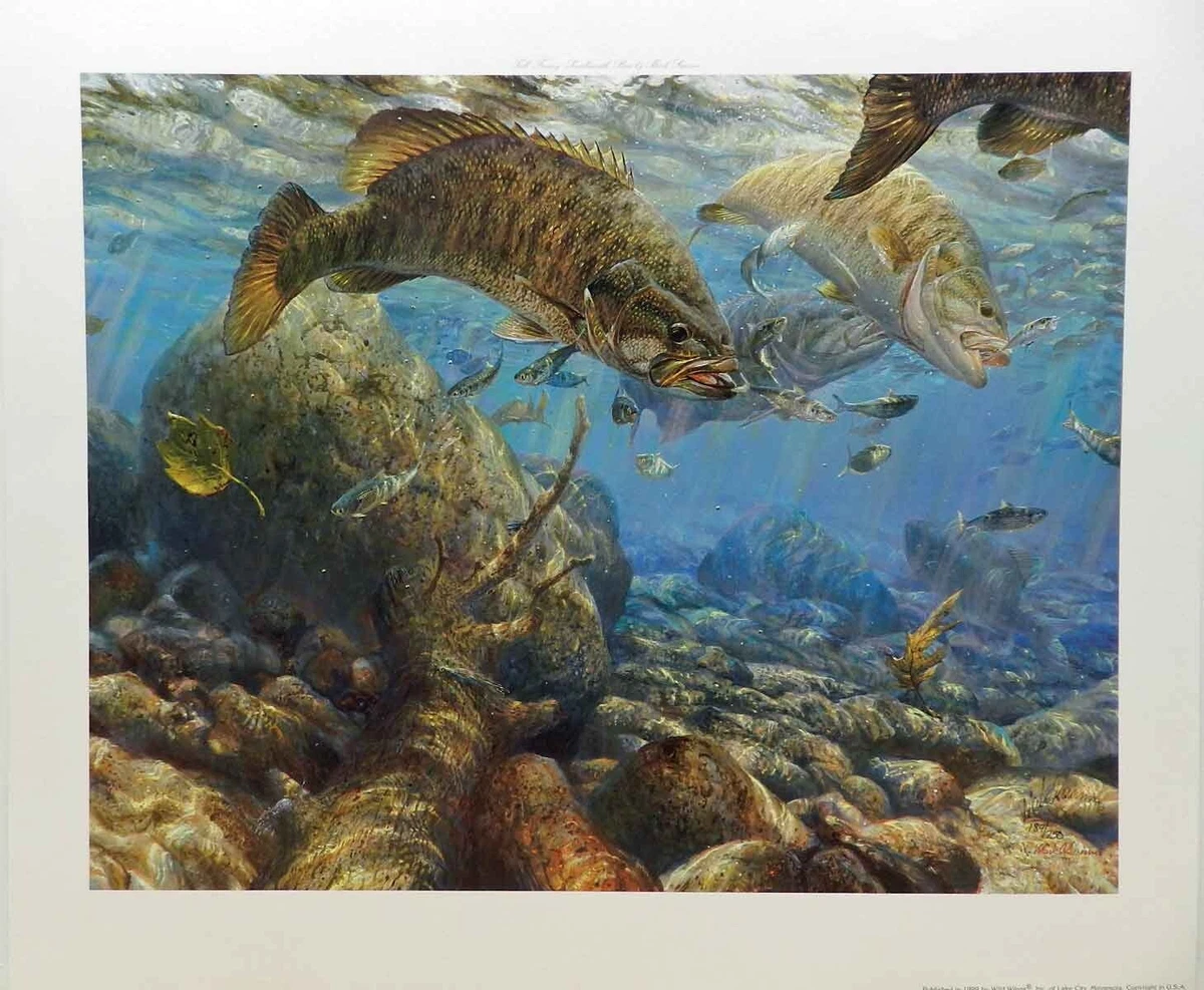 Bass Fishing Paintings