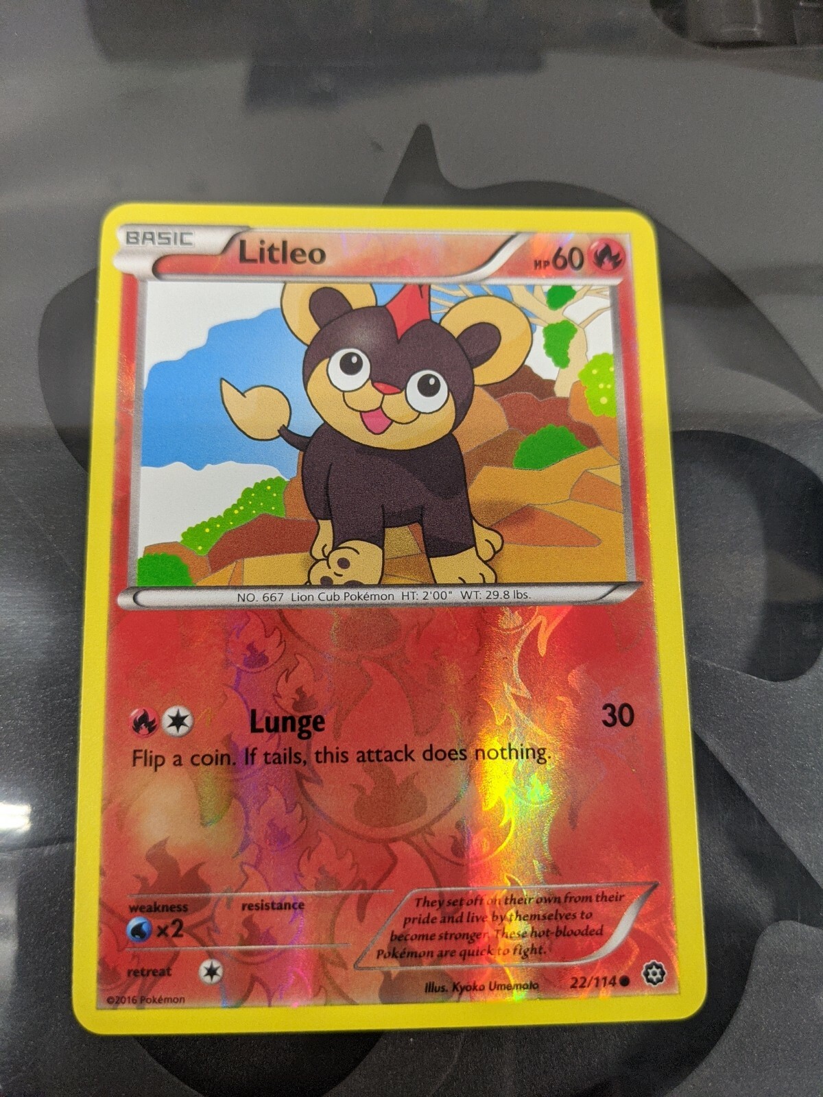 Litleo Pokemon Card Reverse Holo 22/114 Steam Siege C374 | eBay