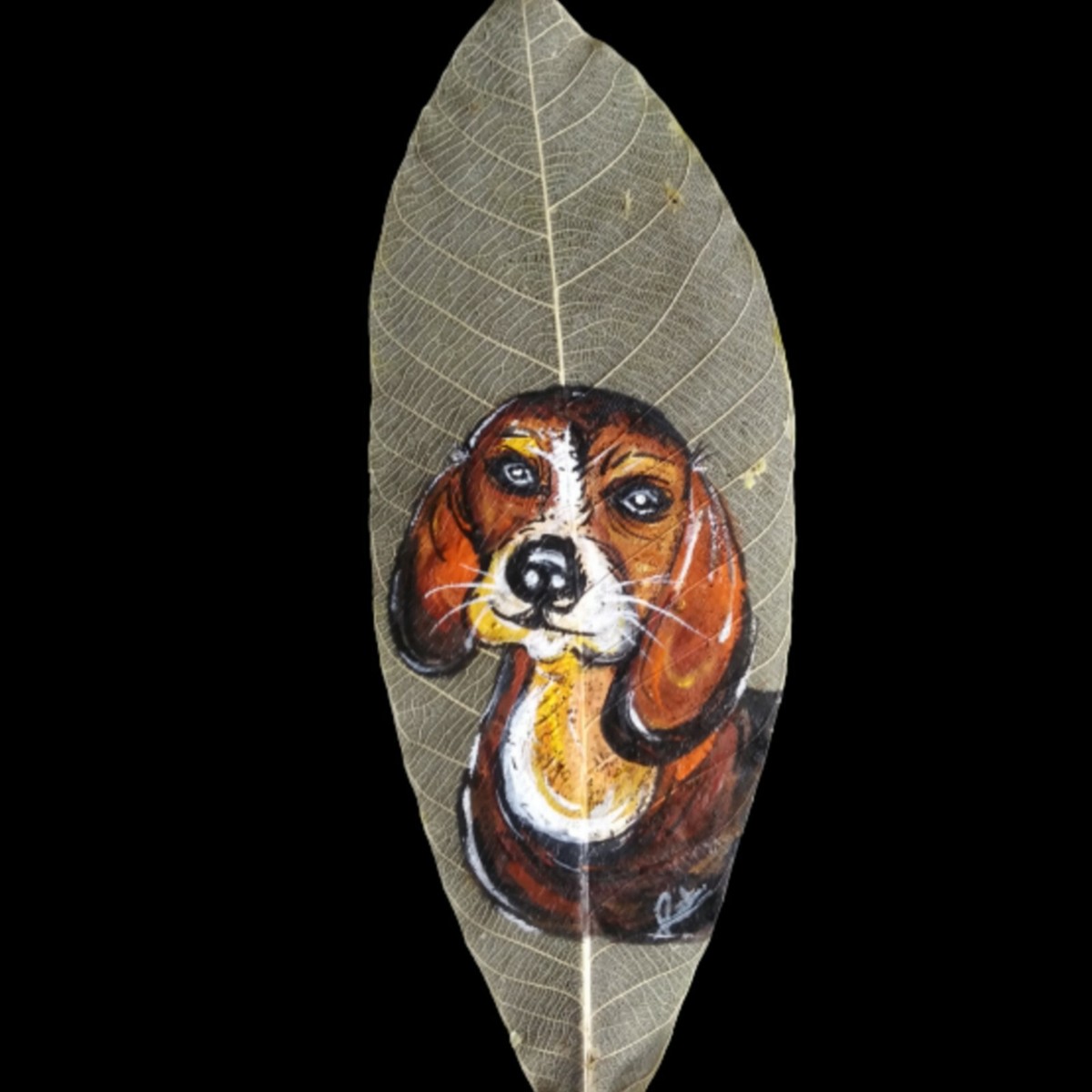 Dog Skeleton Paint