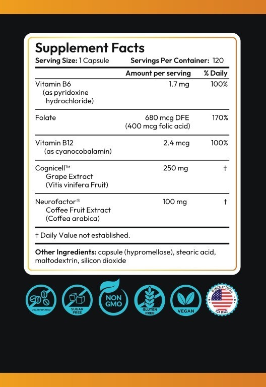 Brainova Phirst Brain health Supplement, Memory & Focus Support 120 ...