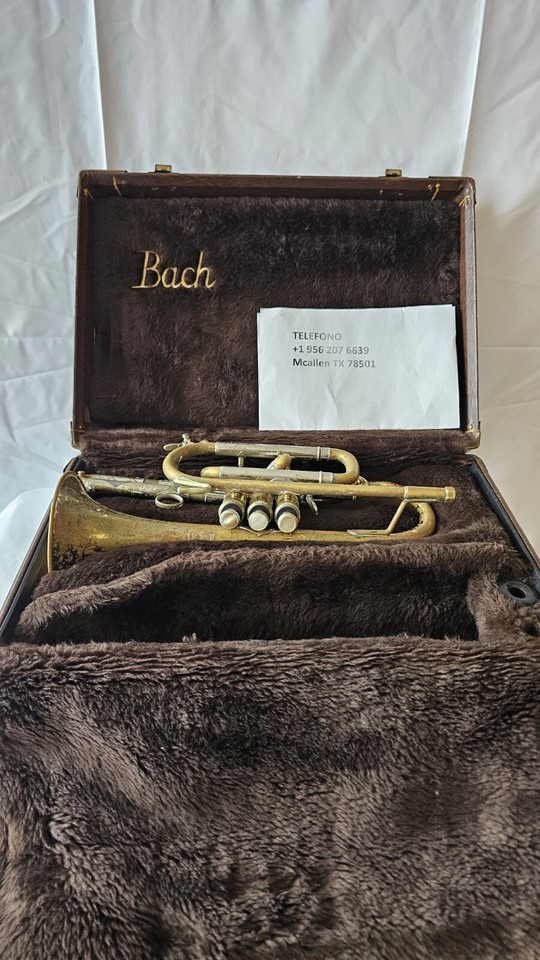 Bach Stradivarius model 37 ML | eBay