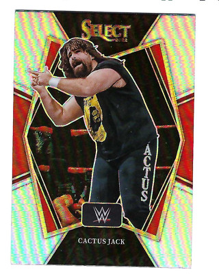 CACTUS JACK 2022 PANINI SELECT WWE SILVER PRIZM | eBay