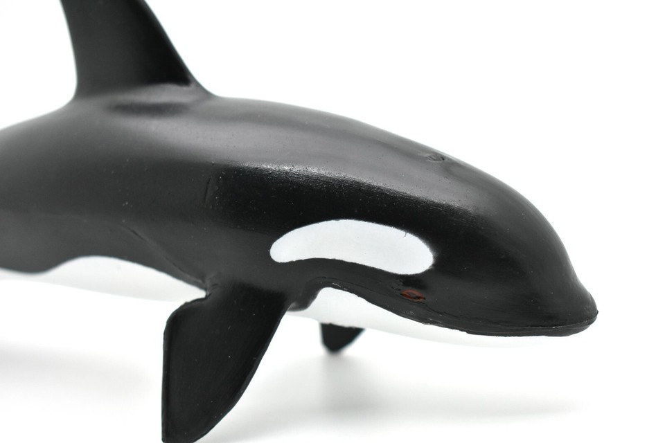 Orca, Killer Whale, Museum Quality Plastic Replica 9" M030-B635 | eBay