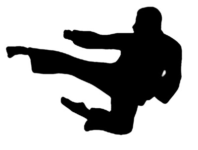 Karate Kick v1 Vinyl Decal | eBay