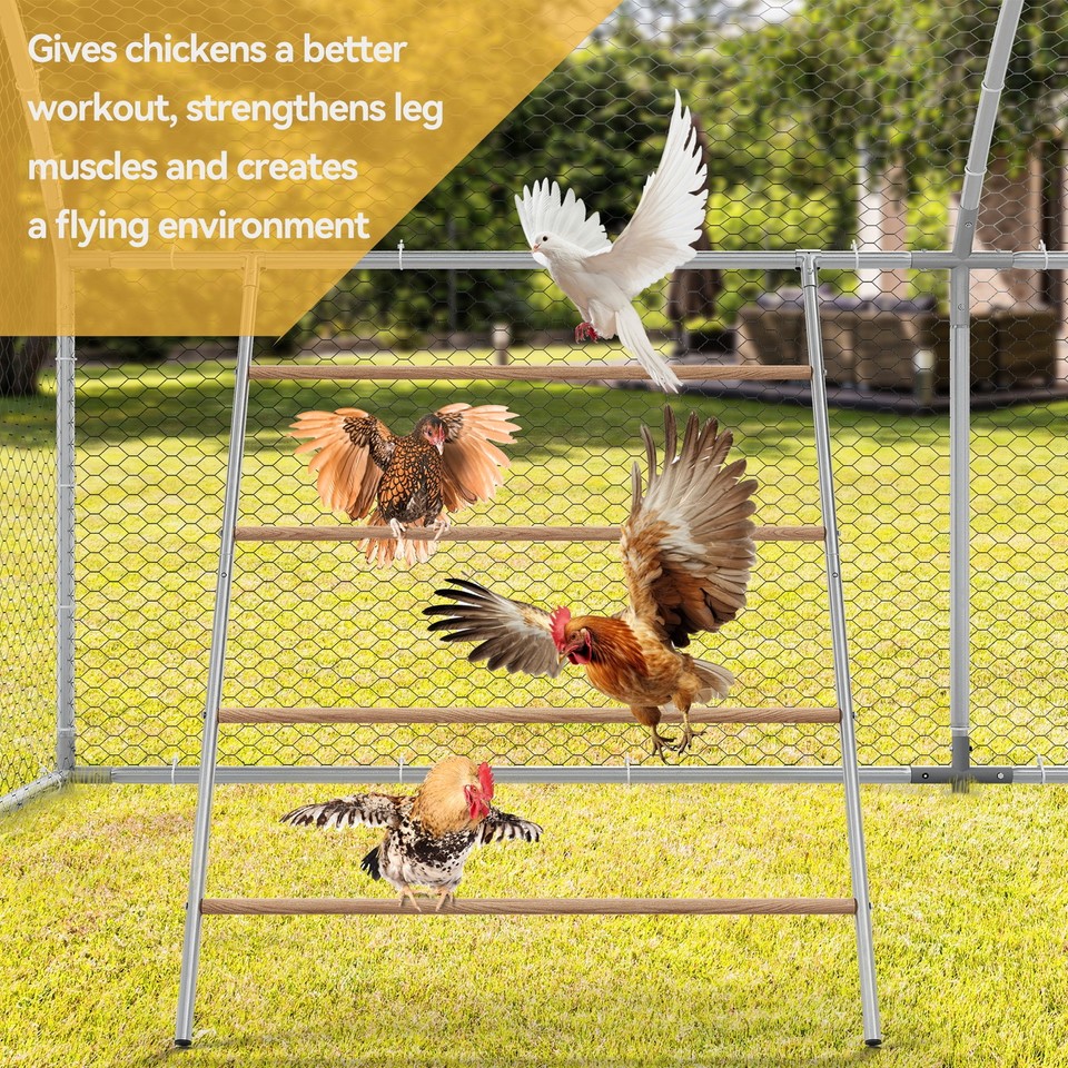 Chicken Roosting Ladder for Backyard Poultry,55.1"L x 39.3"W | eBay