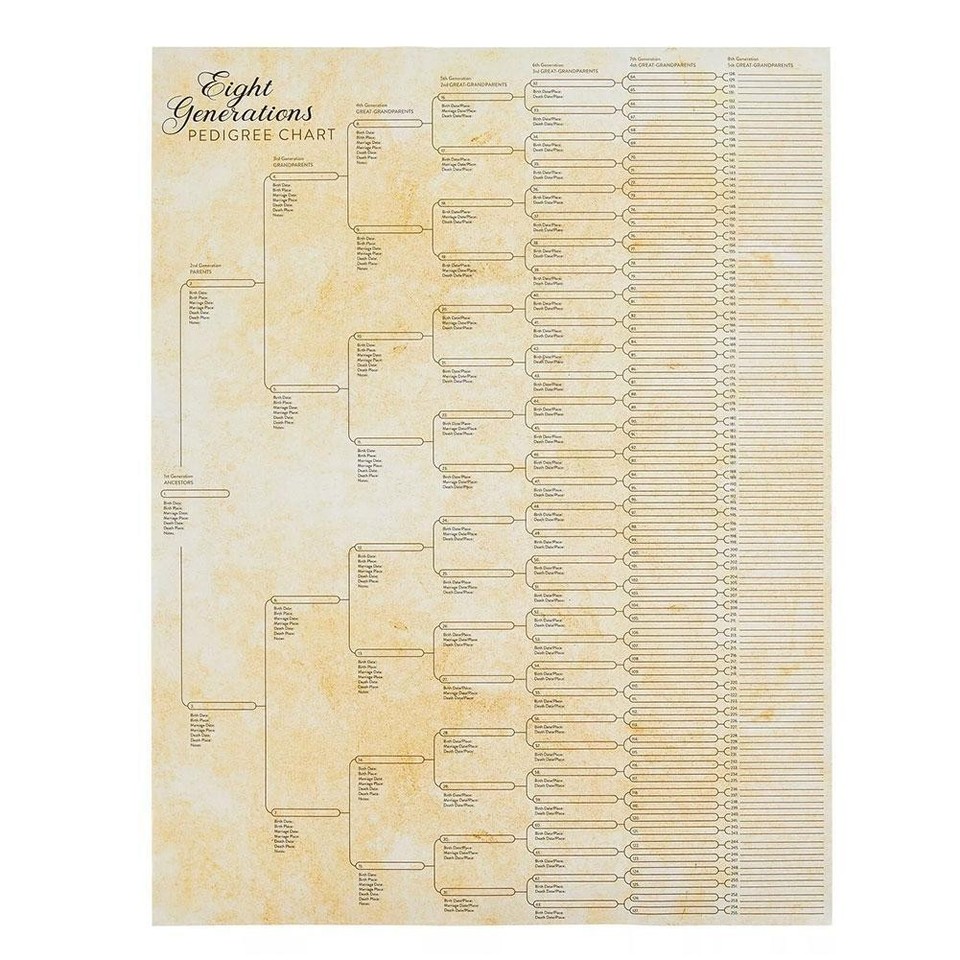 Family Relationship Chart Family Tree Poster V3S0JD76 Z4I5 | eBay