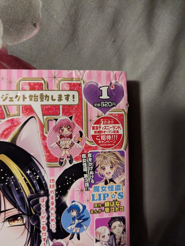 *USED* Nakayoshi January 2020 | eBay