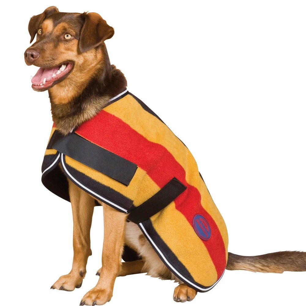 Weatherbeeta Dog Rugs Uk | Bryont Blog