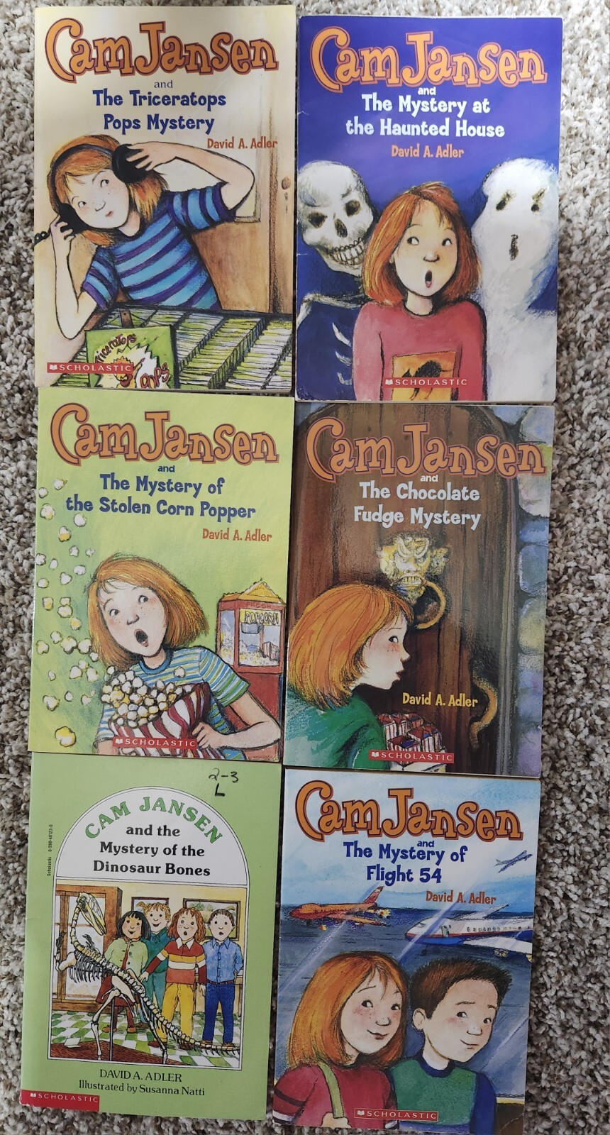 Scholastic Childrens Paperback Chapter Books Cam Jansen Lot Of 7 ...
