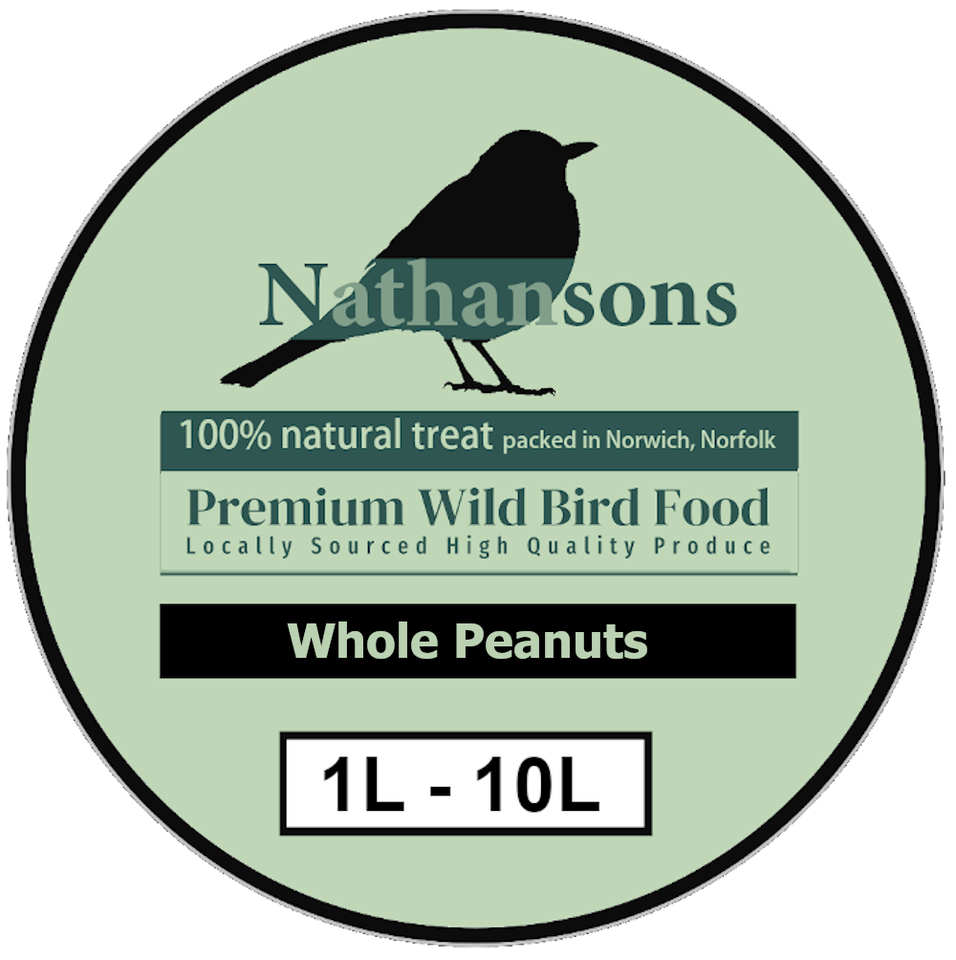 Whole Peanuts Premium Fresh Wild Bird Food Seed Nut Feed 1L 2.5L 5L 10L ...