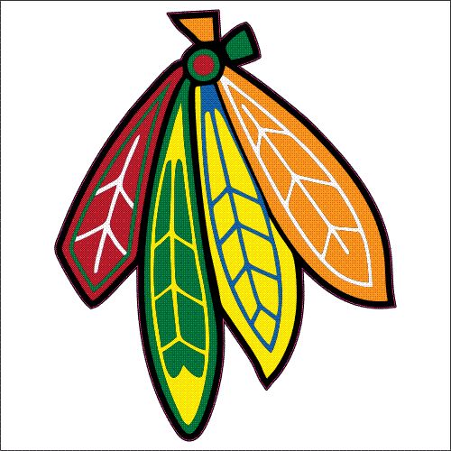Chicago Blackhawks Feather Custom Printed Vinyl Decal / Sticker 2(TWO ...