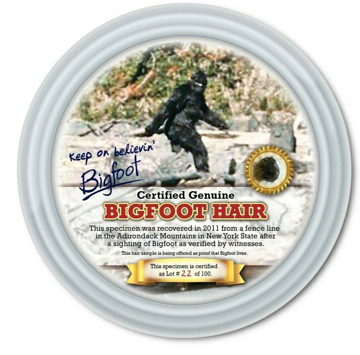 BIGFOOT HAIR SAMPLE - FRAMED - Yeti Tracking Hunter Sasquatch Unique ...