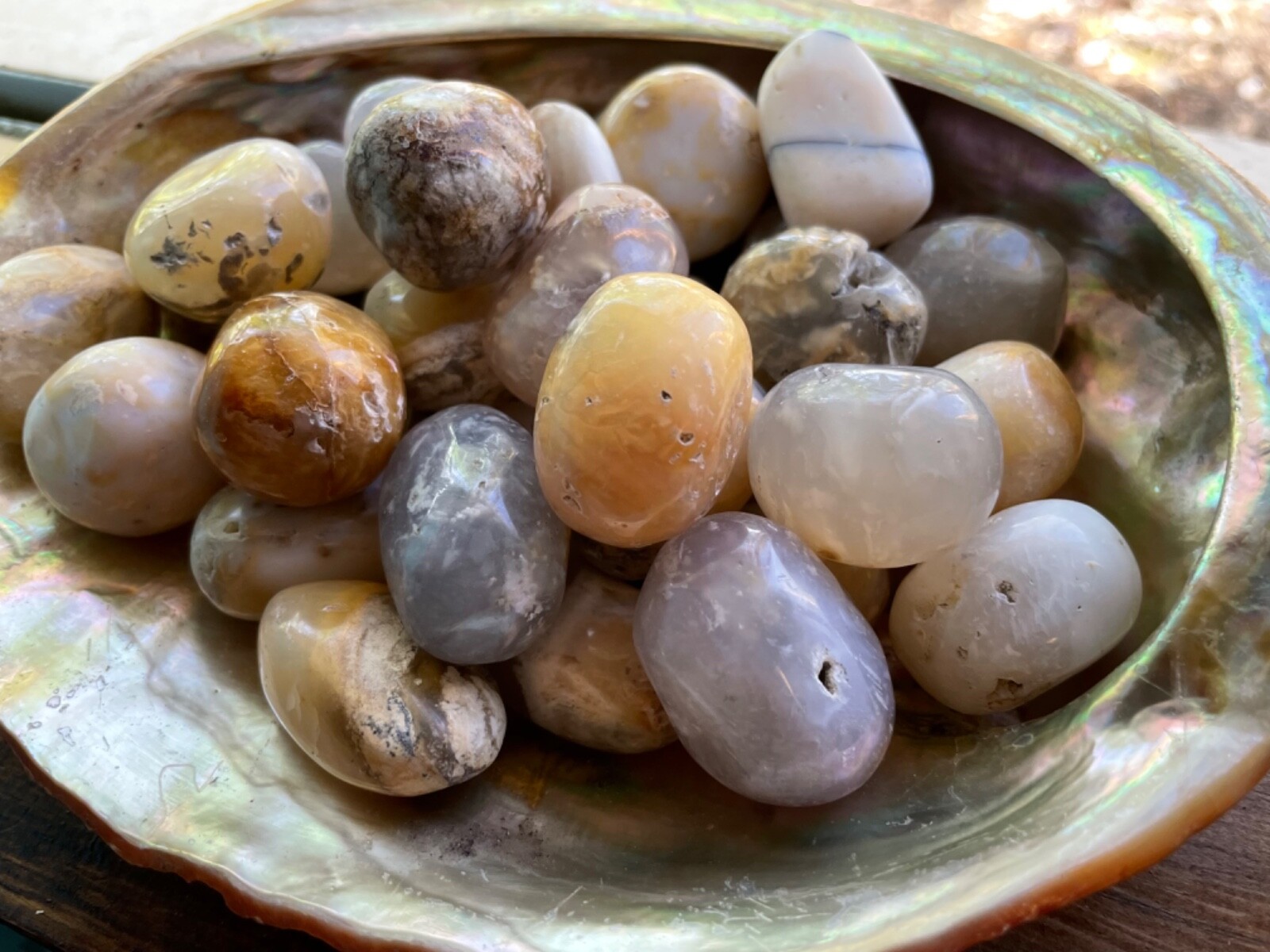 1X Opalized Petrified Wood Tumbled Stone 20mm Healing Crystal Earth ...