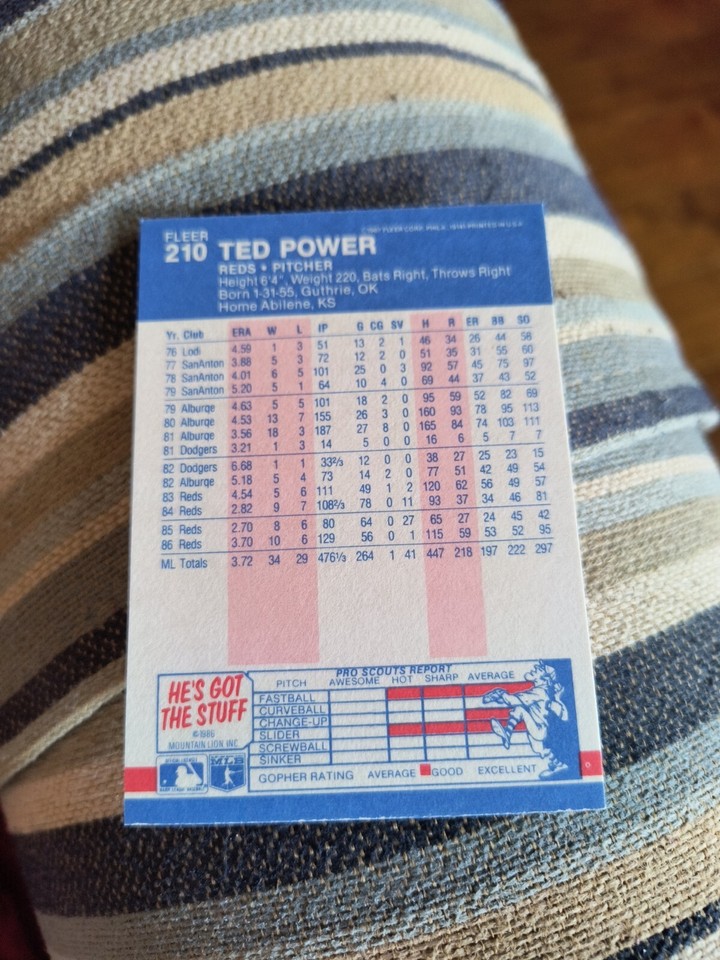 TED POWER 1987 FLEER GLOSSY #210 FREE SHIPPING | eBay