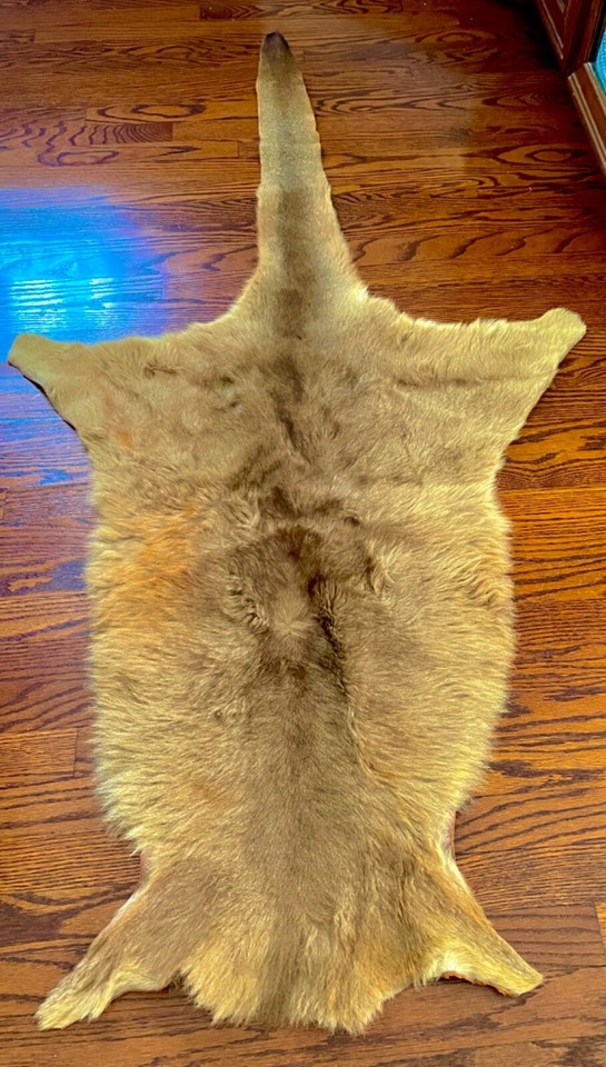 Genuine Australian Tanned Kangaroo Skin Fur Pelt Leather Hide Rug 68 ...