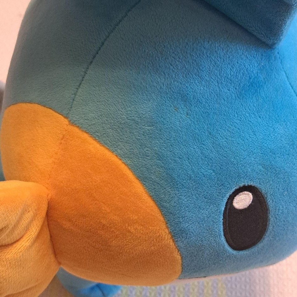 Pokemon Center Life-Size Mudkip Plush Toy, Big Size 2014 43cm | eBay