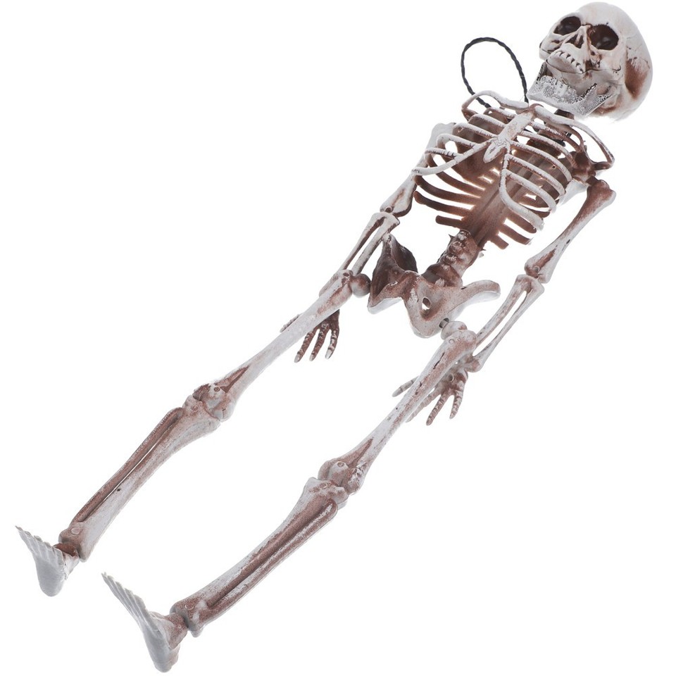 Human Skeleton Model Movable Human Body Skeleton Prop Halloween ...
