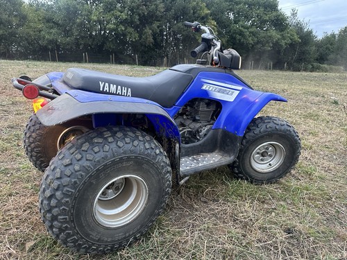 Yamaha Breeze 125 Automatic Farm Quad Great Pulling Rare Quad Mint ...