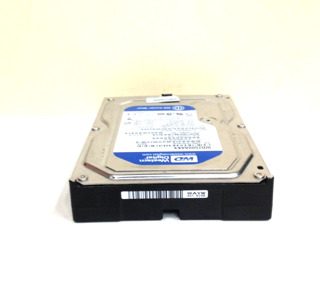 QTY. 2--Western Digital Caviar Blue WD2500AAKX 250 GB 3.5" SATA III ...