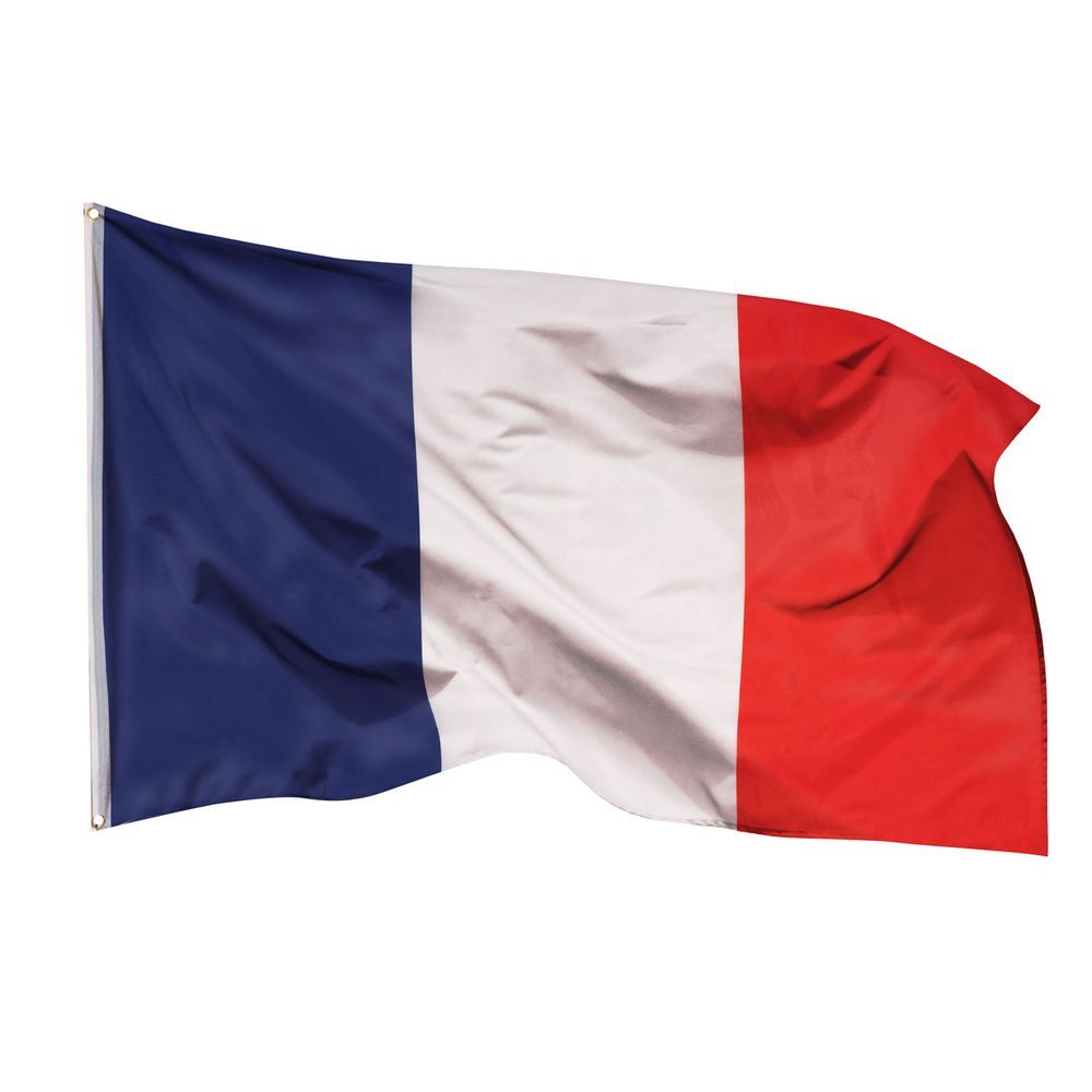 1400s French Flag