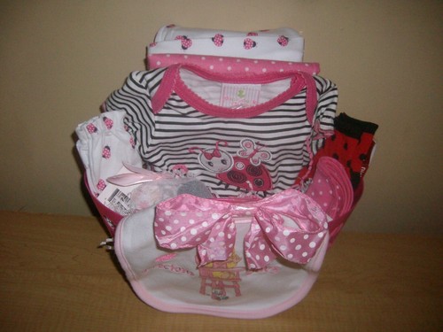 Baby Girl " Lil Lady Bug" 15 Piece Baby Shower Gift Basket or ...