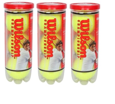 Wilson Championship Tennis Ball 1 Case Tennis Balls 24 Canes | eBay