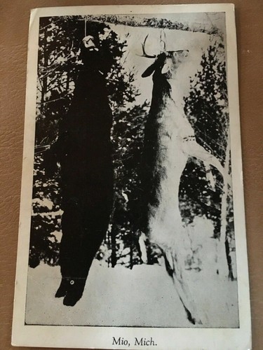 Mio Michigan RPPC Deer and Bear HUNTER | eBay