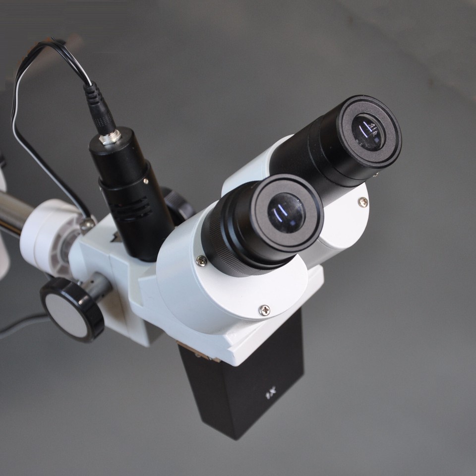 Dental Surgical LED Stereo Microscope Root Canal Microscope with Cart ...