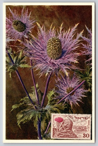 Flowers~Purple Blue Thistle & 30 Cent Stamp~Vintage Postcard | eBay