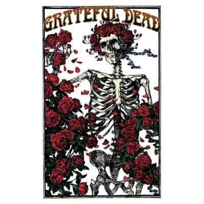 GRATEFUL DEAD skeleton & rose TEXTILE POSTER official merch PREMIUM ...