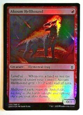 Akoum Hellhound FOIL - MTG Zendikar Rising ZNR | eBay
